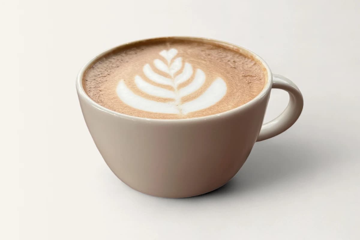 Ajoutez gratuitement un fond blanc à votre image | PhotoRoom